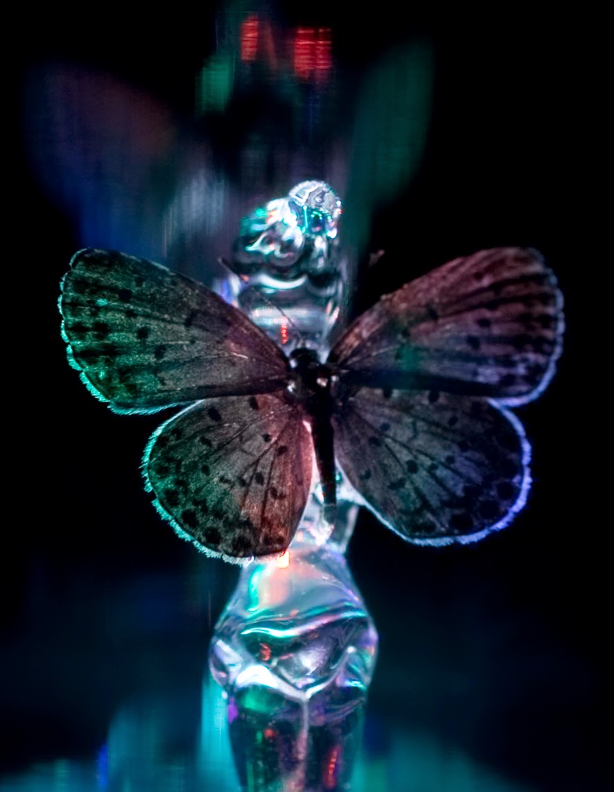 Asia Society Triennial NYC – Ken + Julia Yonetani 米谷健＋ジュリア